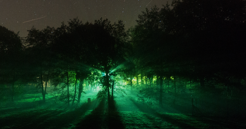 Products – Alia Ova Studio